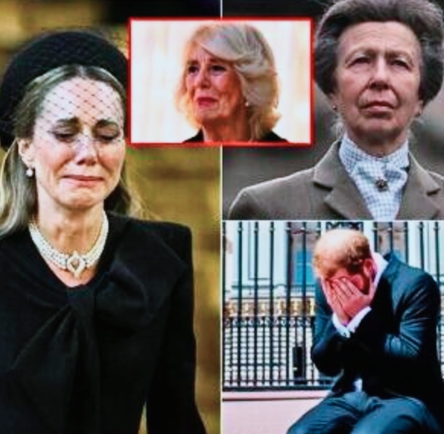 The Startling Statement: Queen Camilla Stuns Palace With Shocking ...